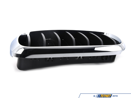 51137294485 - Genuine BMW Grille - F15 X5 | Turner Motorsport