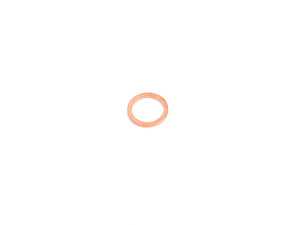07119963132 - Genuine BMW Gasket Ring - 07119963132 | Turner Motorsport