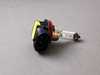 07119906503 - Genuine BMW H8 Halogen Bulb | Turner Motorsport