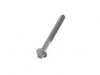 11277589049 - Genuine BMW Asa-bolt - 11277589049 | Turner Motorsport