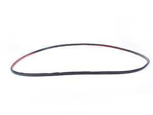 51767060229 - Genuine BMW Front Outter Door Weather Strip - E90 E91 ...