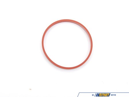 11617528173 - Genuine Mini Profile-gasket - 11617528173 | Turner Motorsport