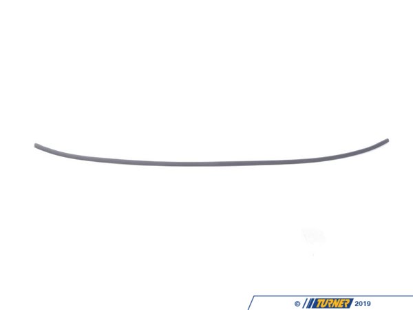 51318119281 - Genuine BMW Back Glass Seal | Turner Motorsport