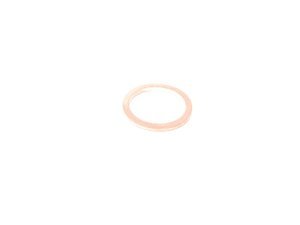 07119963201 - Fischer and Plath Gasket Ring | Turner Motorsport