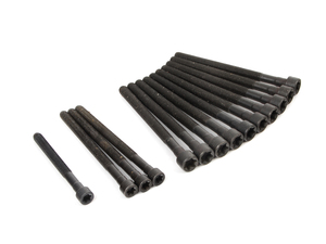 11127548799 - Genuine BMW Cylinder Head Bolt Set - N52 3.0L | Turner ...