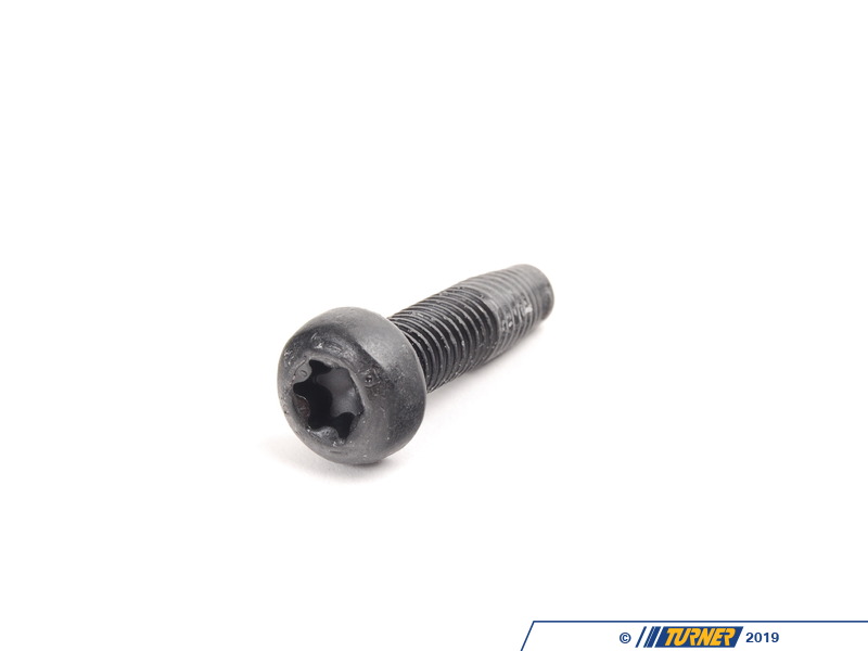 07149156953KT - Fillister Head Screw - Pack Of 10 | Turner Motorsport