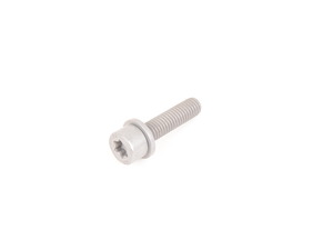 07129905558KT - Torx Screw - Pack Of 10 | Turner Motorsport
